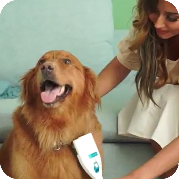 KANPETS – KANPETS CLEAN